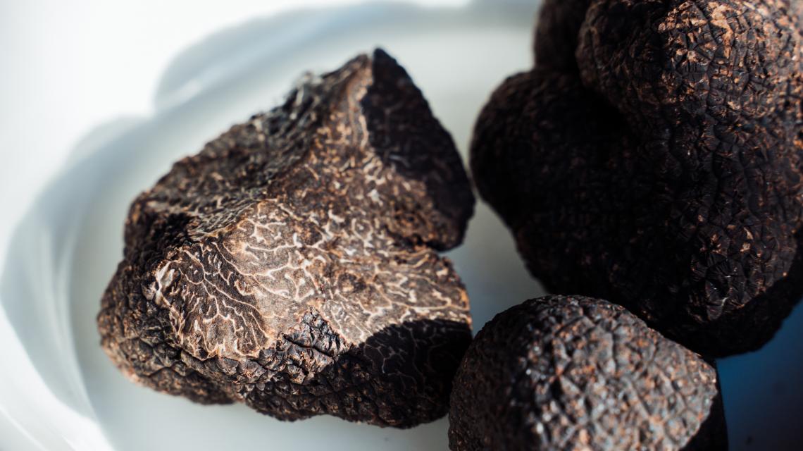 What's On at The Clock | Clock Hotel